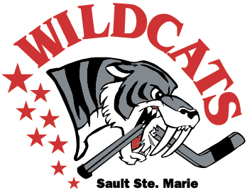 Wildcats (Sault Female Hockey Association)